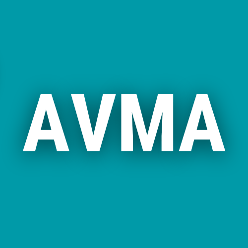 AVMA ETF Review - Avantis Moderate Allocation ETF (60/40 + Factors)